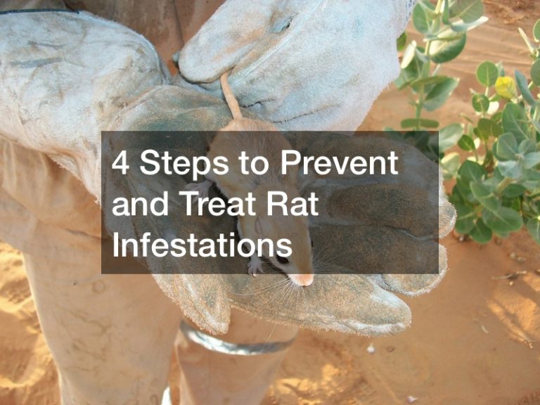 4 Steps to Prevent and Treat Rat Infestations - Pest and Animal Control ...