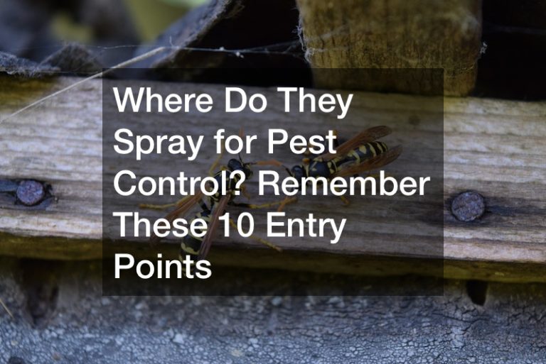 Where Do They Spray for Pest Control? Remember These 10 Entry Points ...