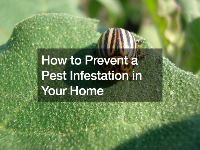 How to Prevent a Pest Infestation in Your Home - Pest and Animal ...